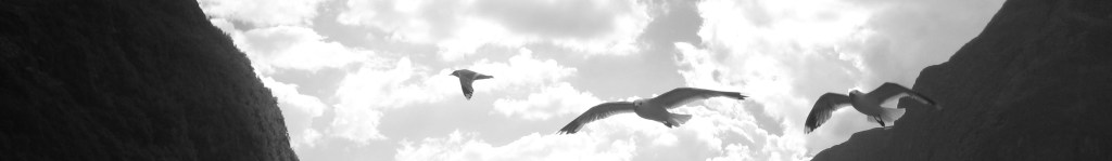 DENk · WORt · WERkSTATt \ FREISiNN – Gute Geschichte. Leben.